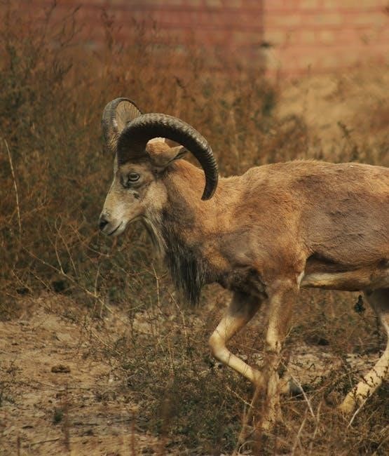 Download The Goat Albee PDF for Free - Instant Access | DavidLavin