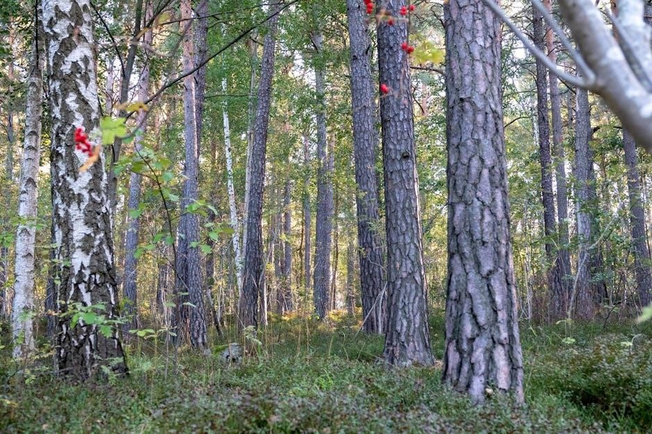 Into the Woods PDF | Download Free eBook